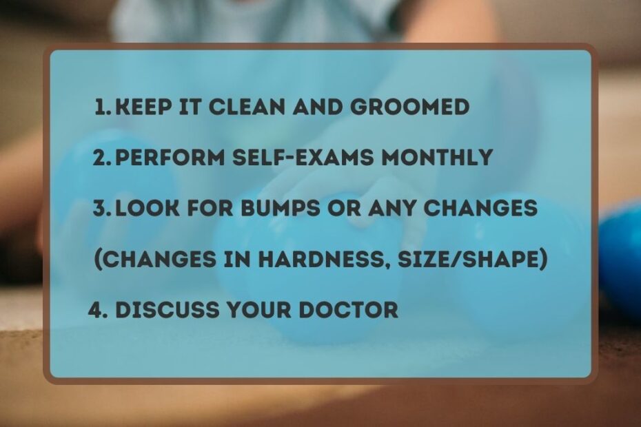 Does Testicle Size Matter? Know Important Facts