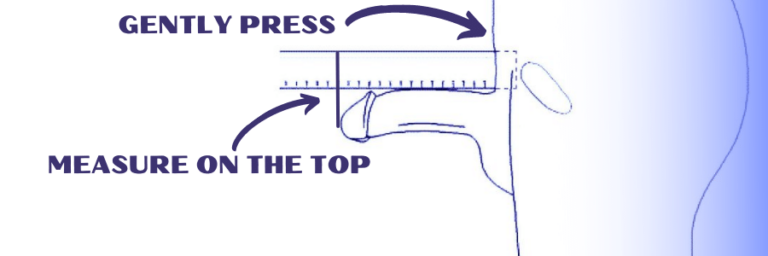 How To Measure Penile Length Correctly (How To Measure Penis Size ...