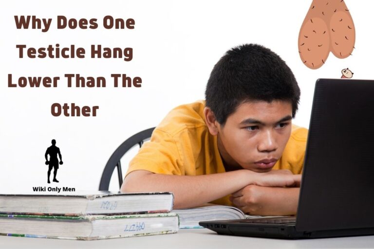 Why Does One Testicle Hang Lower Than The Other | Know Interesting ...