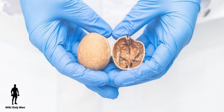 Testicular Injury - Causes, Symptoms, And Treatments - Wiki Only Men